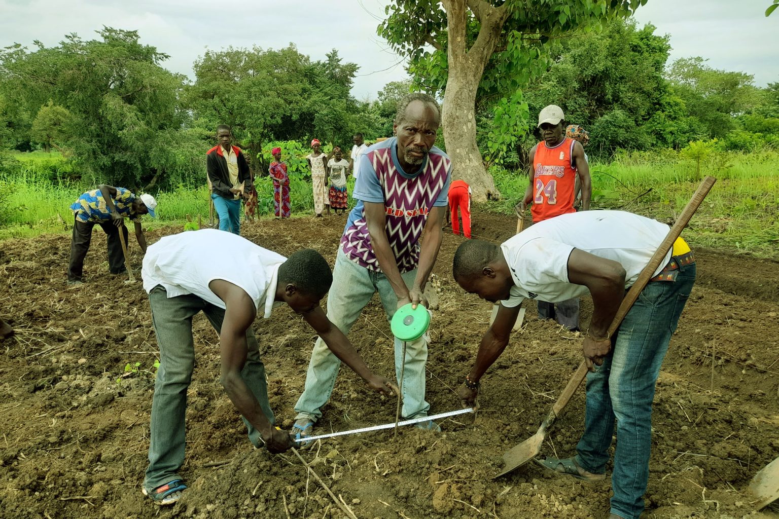 APADE – All for Peace and Dignity